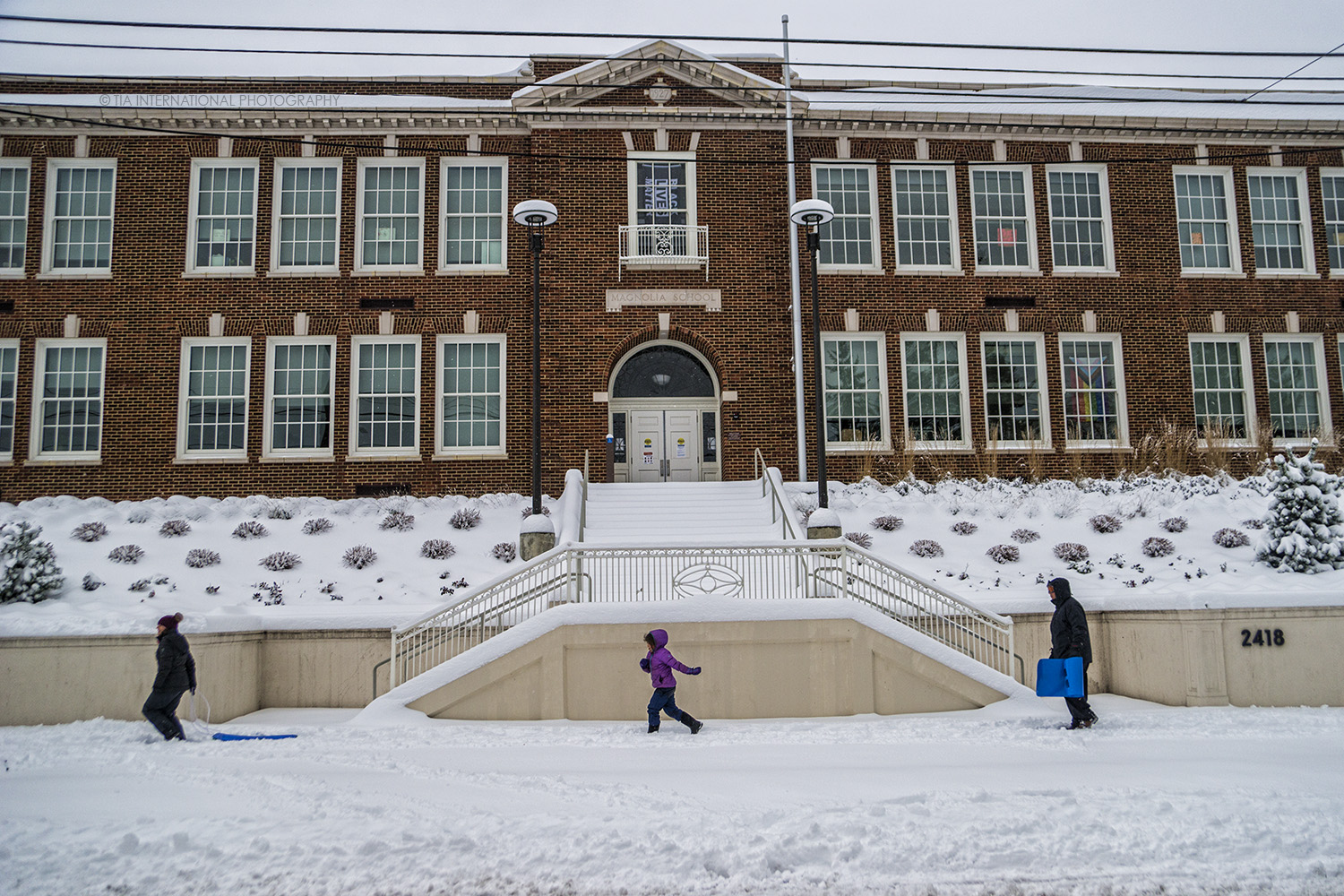 “Snowmageddon Chronicles”: Part One | La Vue Atypique - TIA ...